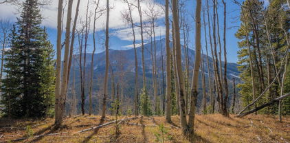 Live Mountain Cams Crested Butte