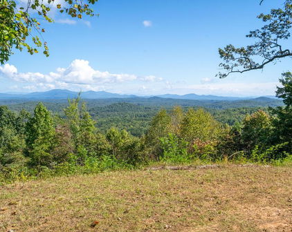 Blue Ridge Real Estate | Blue Ridge Homes for Sale