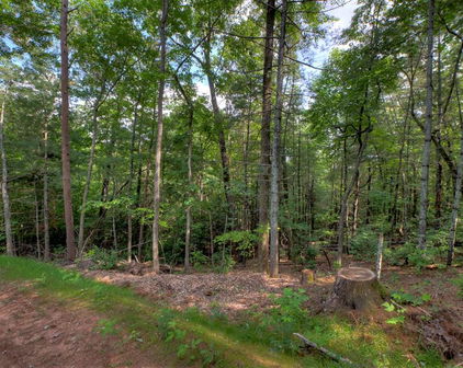 Blue Ridge Real Estate | Blue Ridge Homes for Sale