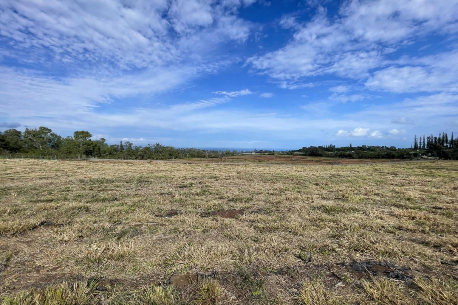 1221 Haliimaile Rd, Makawao, 96768
