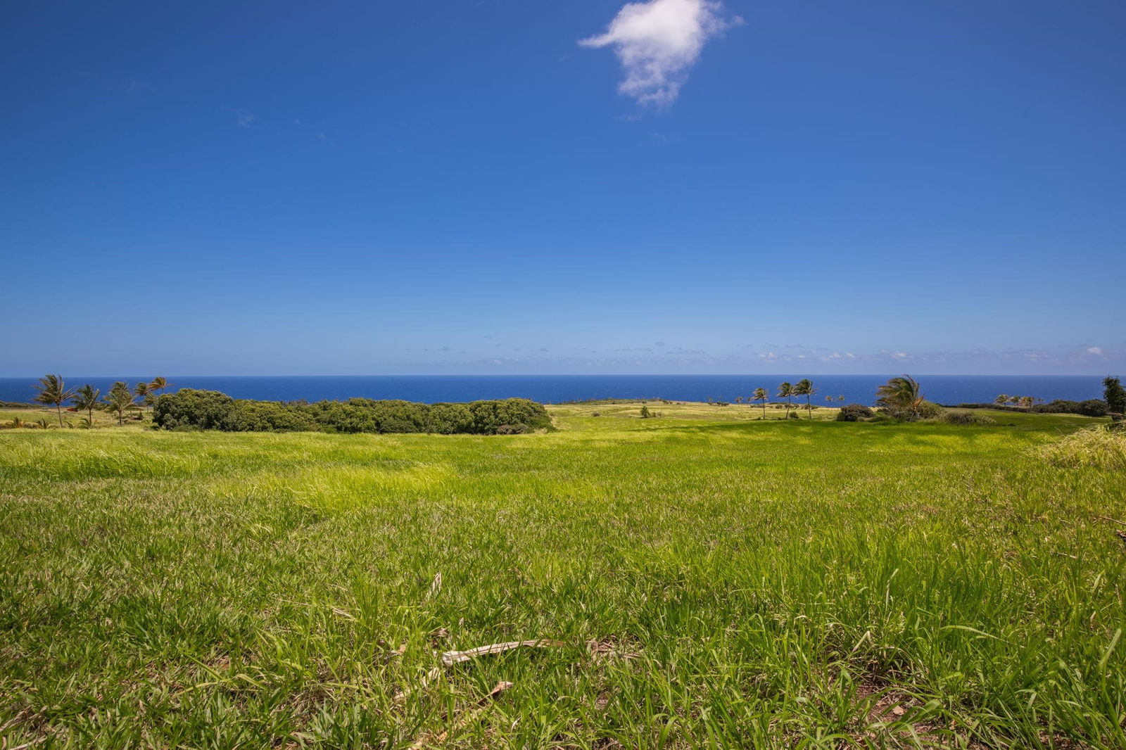 580 Kai Huki Cir Unit B, Haiku, 96708