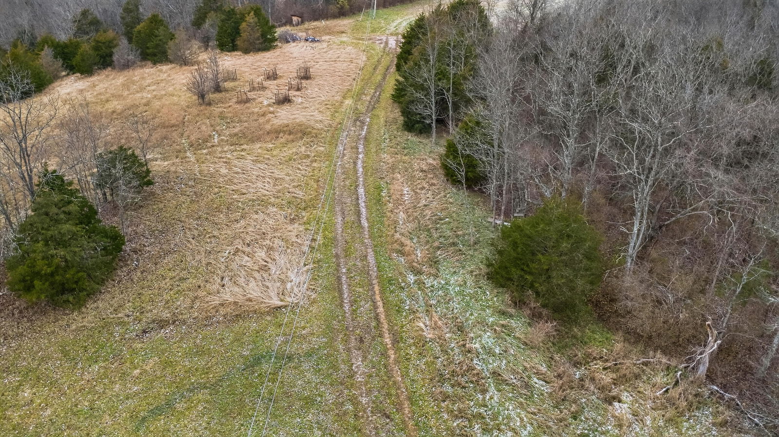 000 Hogg Ridge Road, Williamstown, 41097