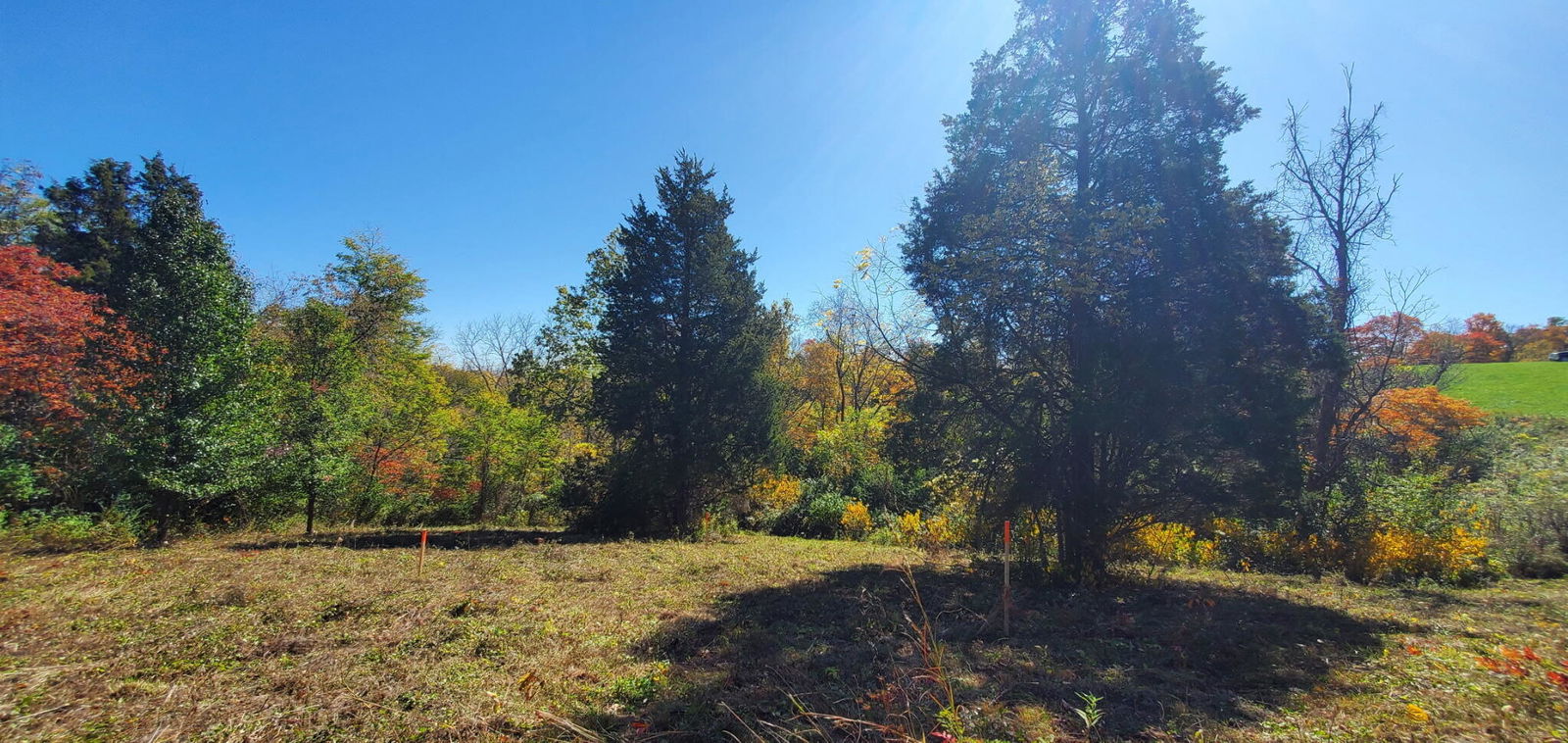 3231 Rector Road, Morning View, 41063