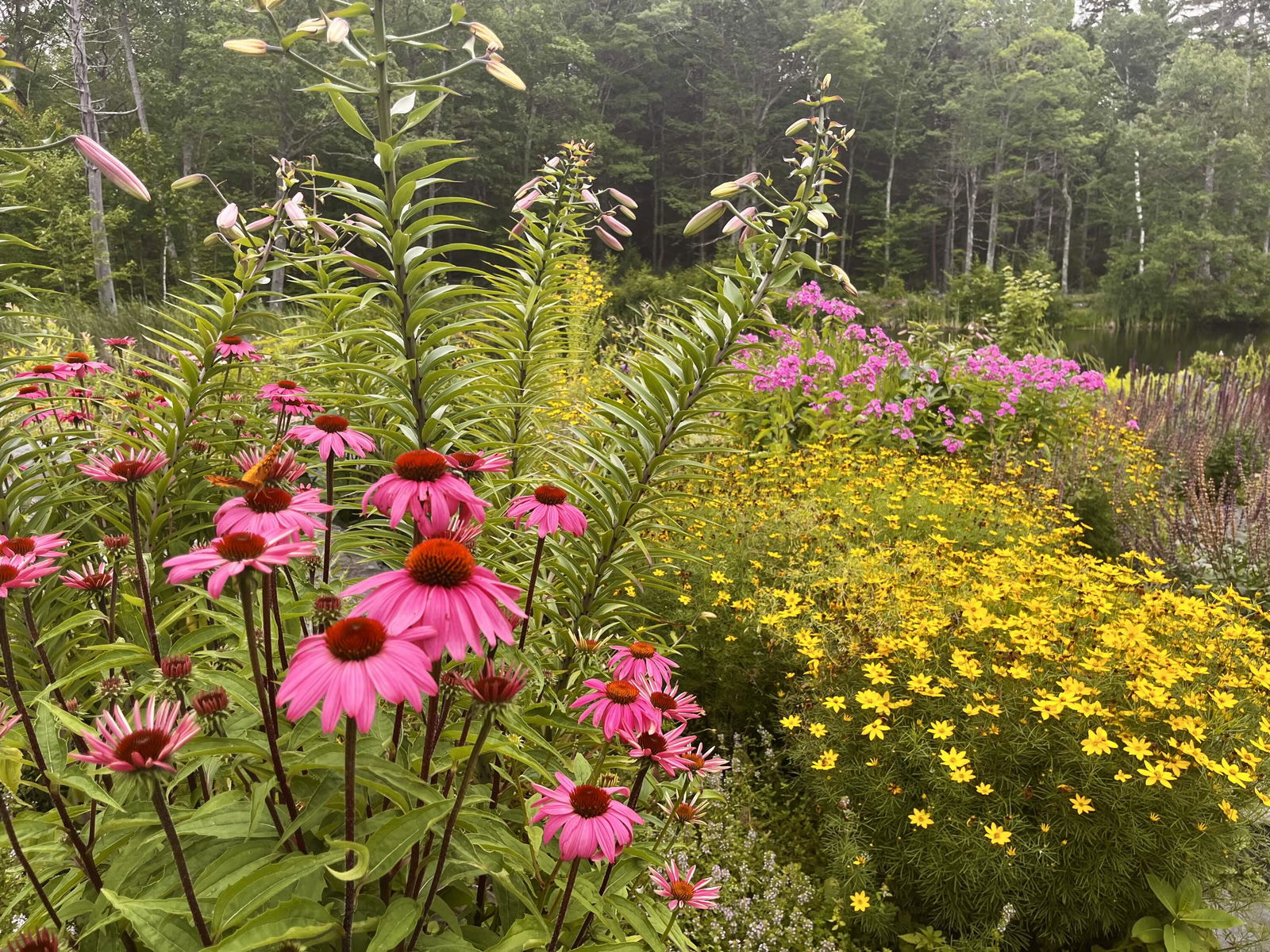 359 Lower Round Pond Road, Bristol, 04539