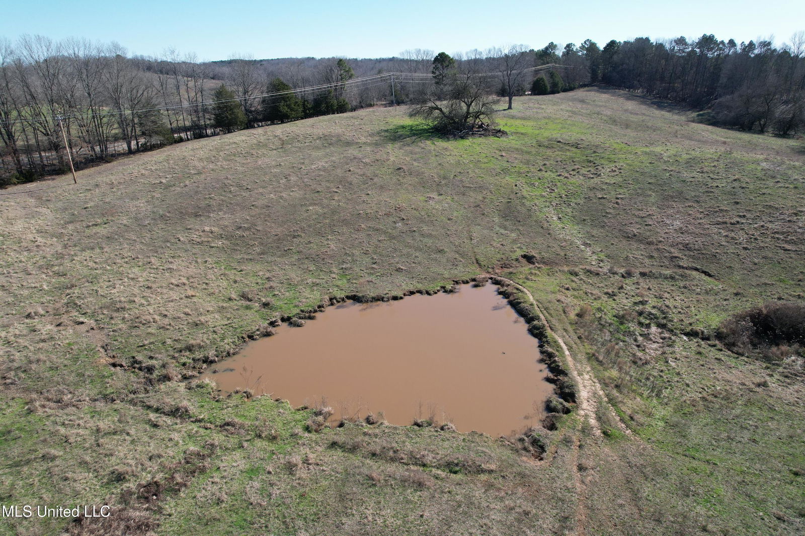 349 Highway, Potts Camp, 38659