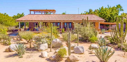 Todos Santos Homes for Sale - Find Your Dream House