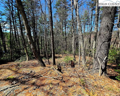 River Ridge Land for Sale