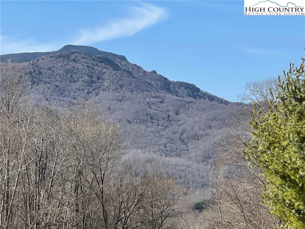 9 Jackson Ridge Road, Boone, 28607