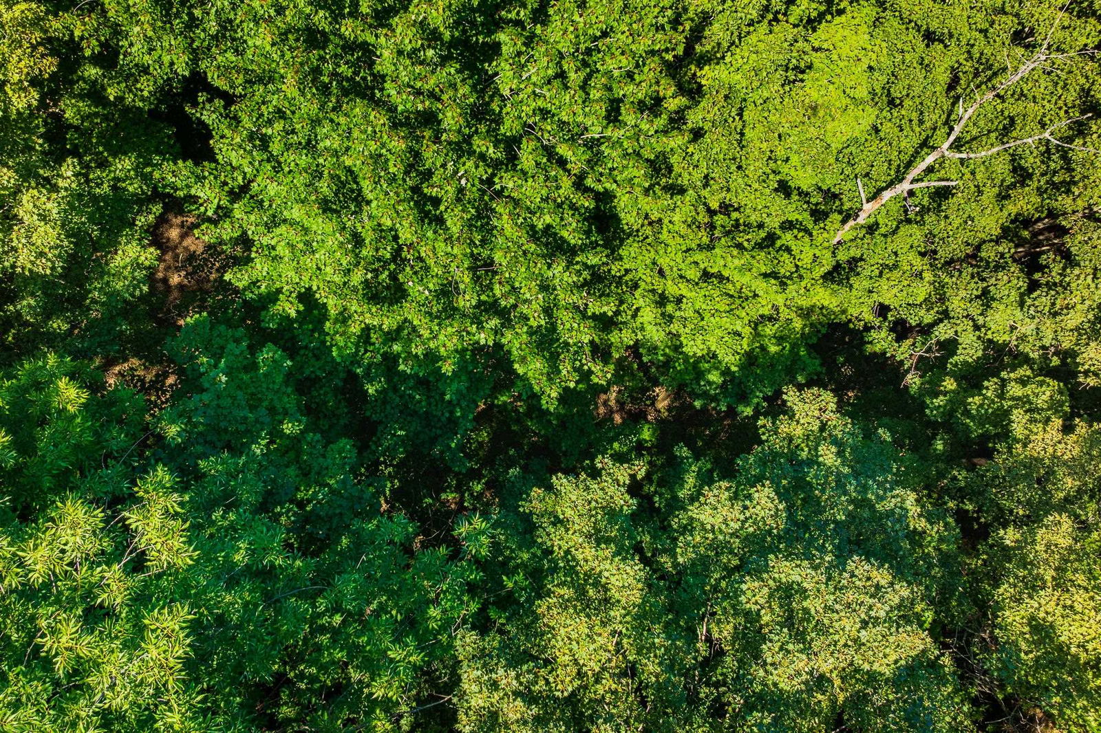 215 & 221 Vt Rte, Dorset, 05251