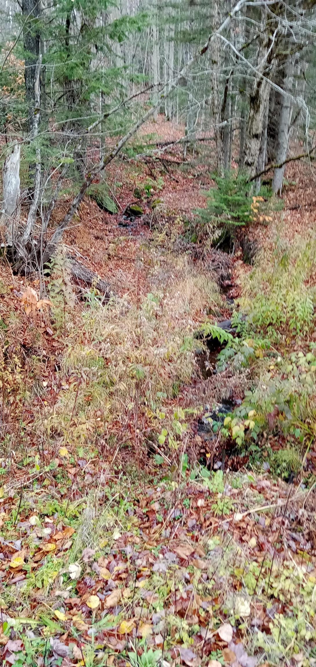 102-B Albany Rd, Eden, 05653