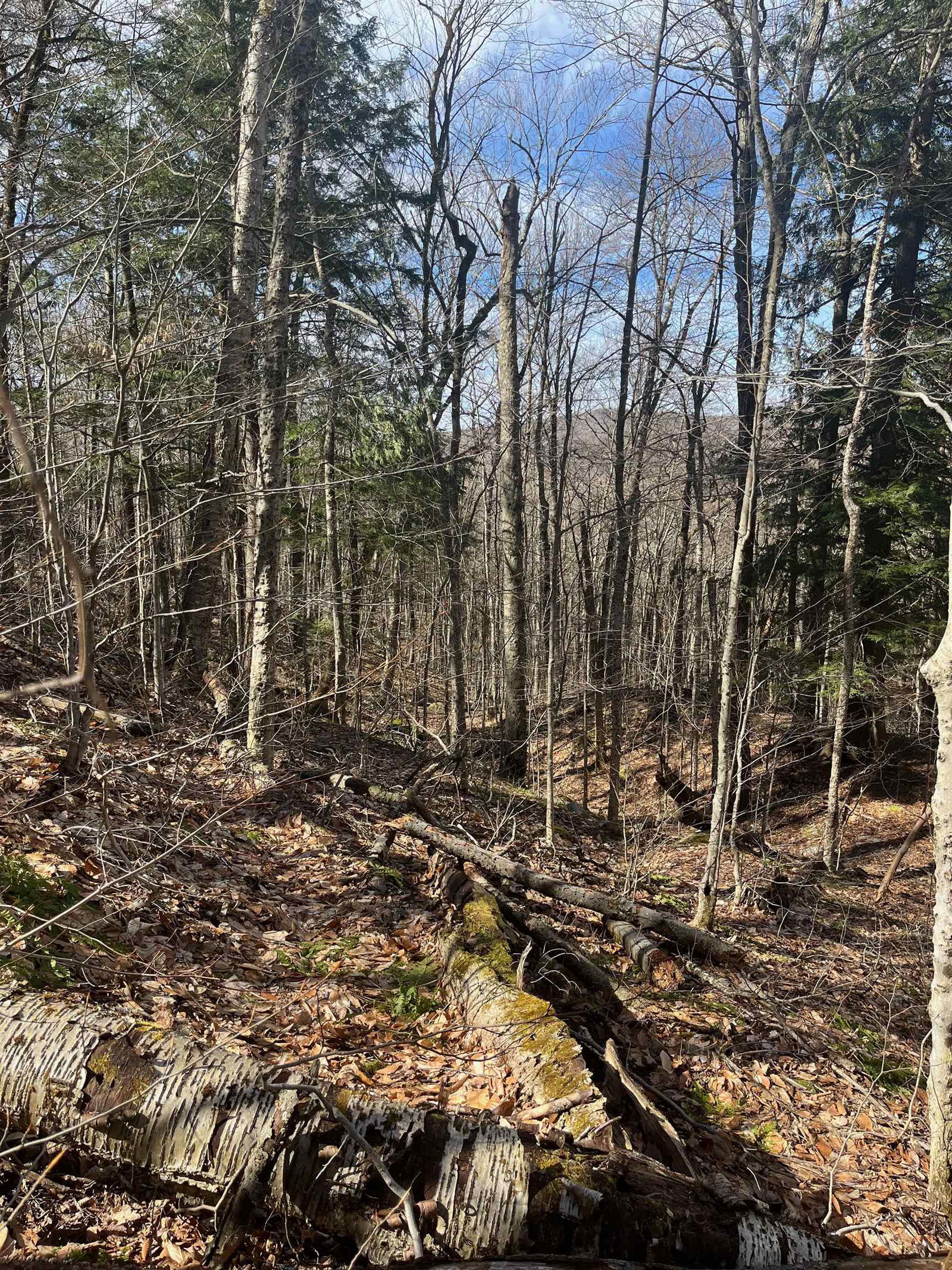 2-47 E Ash Rd, Plymouth, 05056