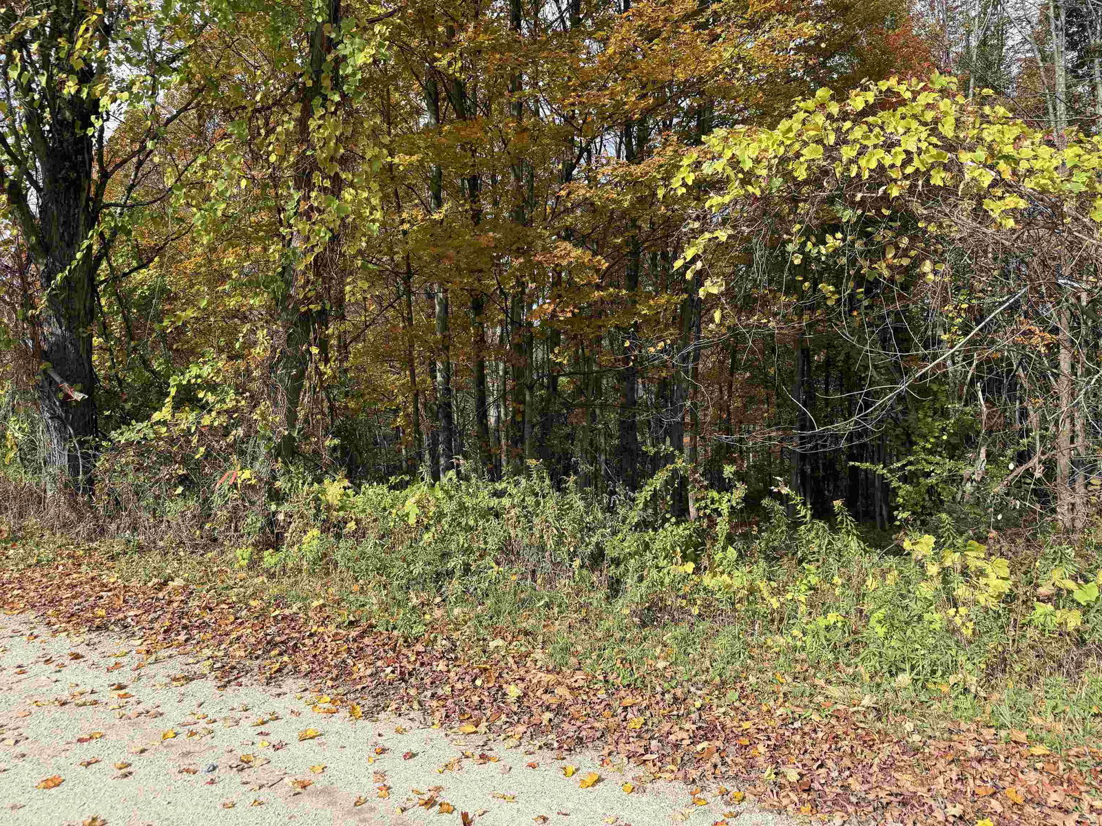 Sunset Hill Rd, Pownal, 05261