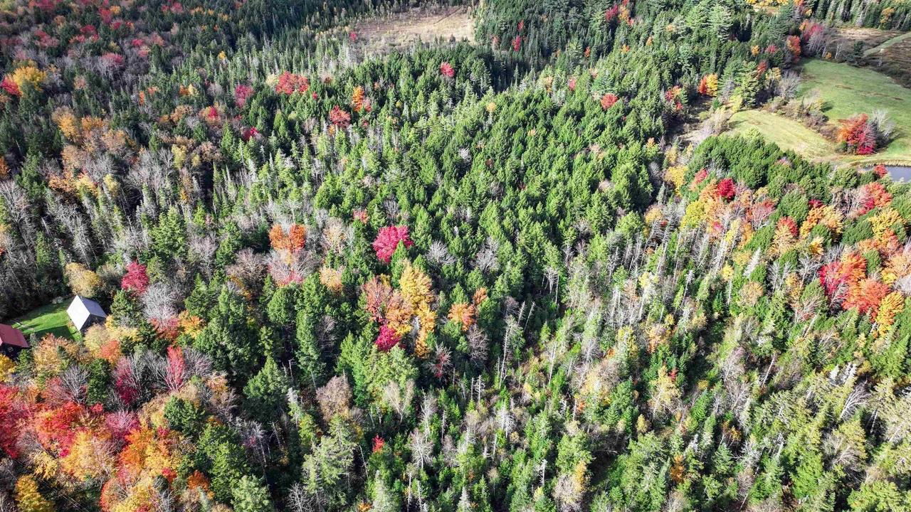 1021 Woods S Rd, Warren, 05674