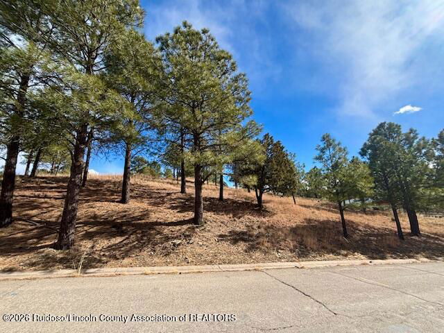 216 Sunny Slope Dr, Ruidoso, 88345