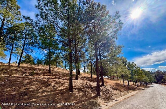 216 Sunny Slope Dr, Ruidoso, 88345