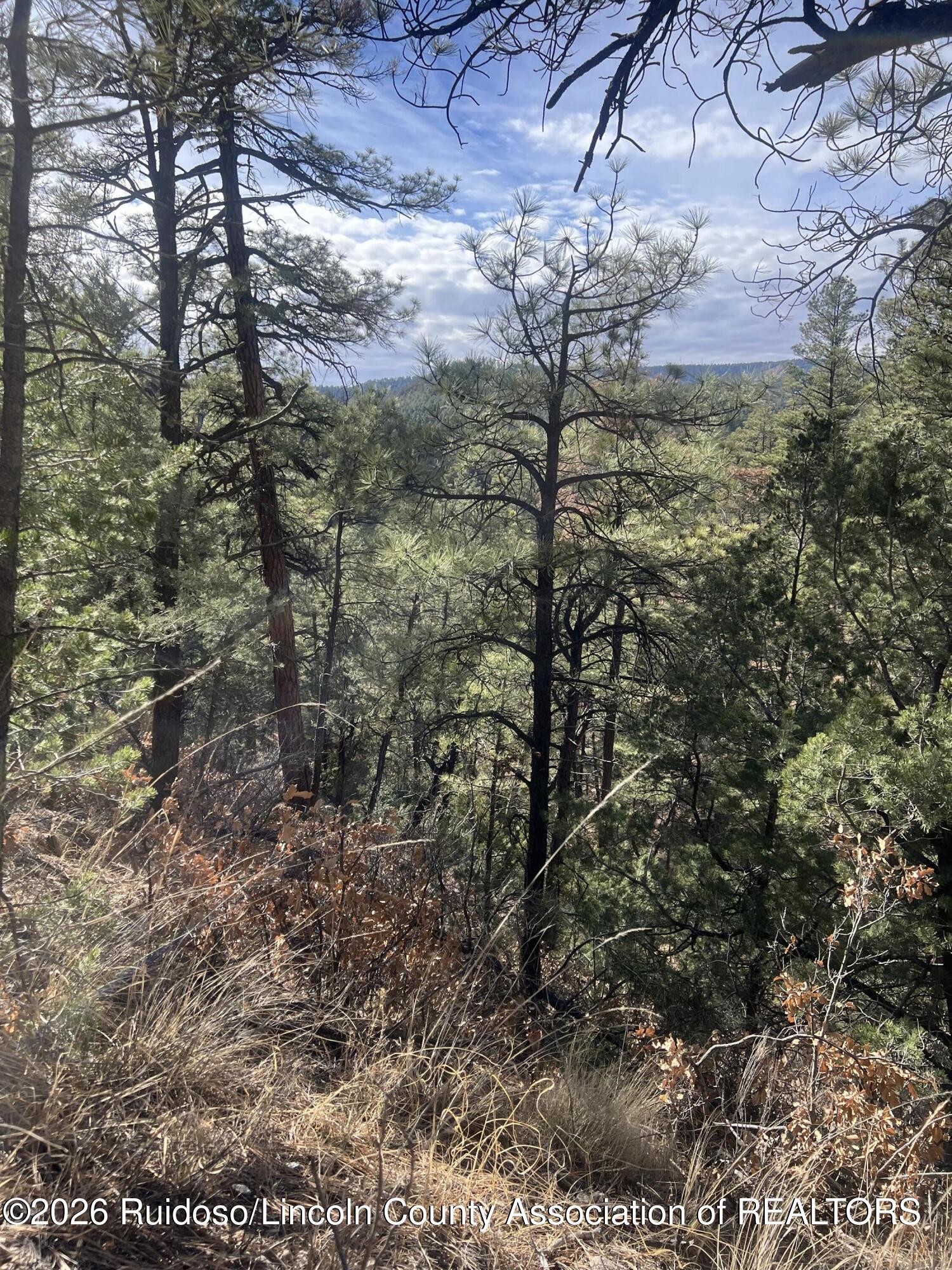 - Gresswell Road, Ruidoso, 88345