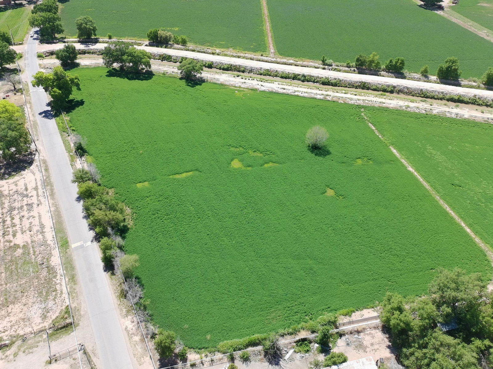 Romero Road, Los Lunas, NM 87031 - MLS 1097344 - Land Of Amanda Lynn ...