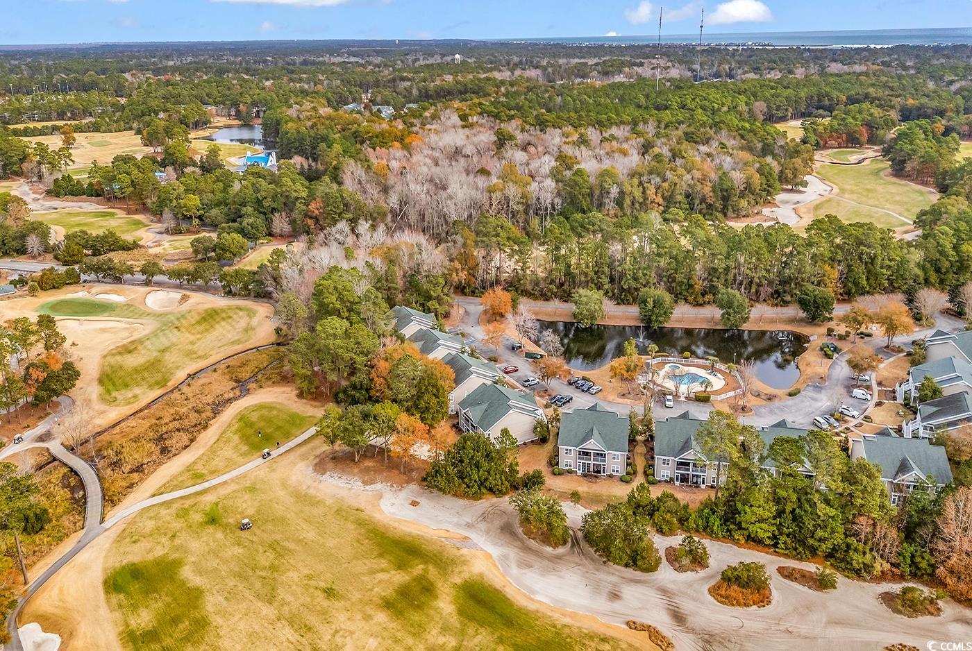 MLS 2530092 -True Blue 1 739 Blue Stem Dr. Unit 64-A, Pawleys Island ...