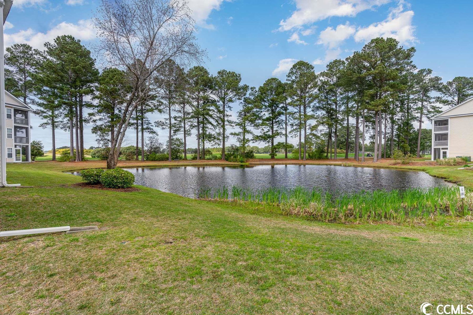 MLS 2304876 - WINDSOR GREEN 4980 Windsor Green Way Unit 202, Myrtle ...