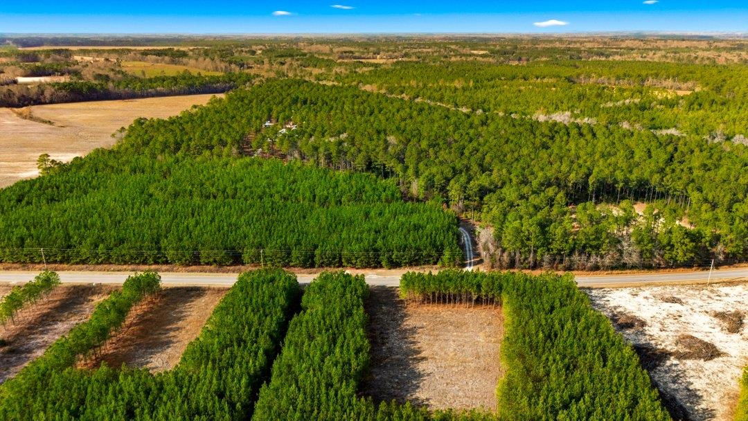 Not within a Subdivision - MLS 2600869 - Acreage Highway 45, Loris ...