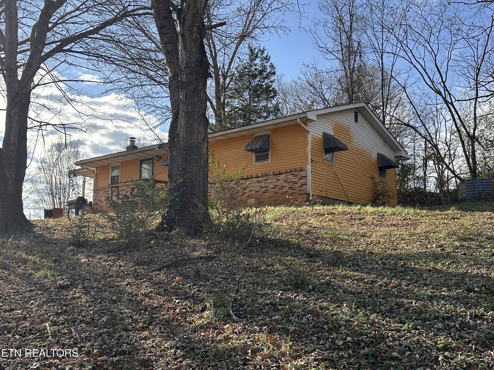 1028 Olympus Drive, Byrdstown, 38549