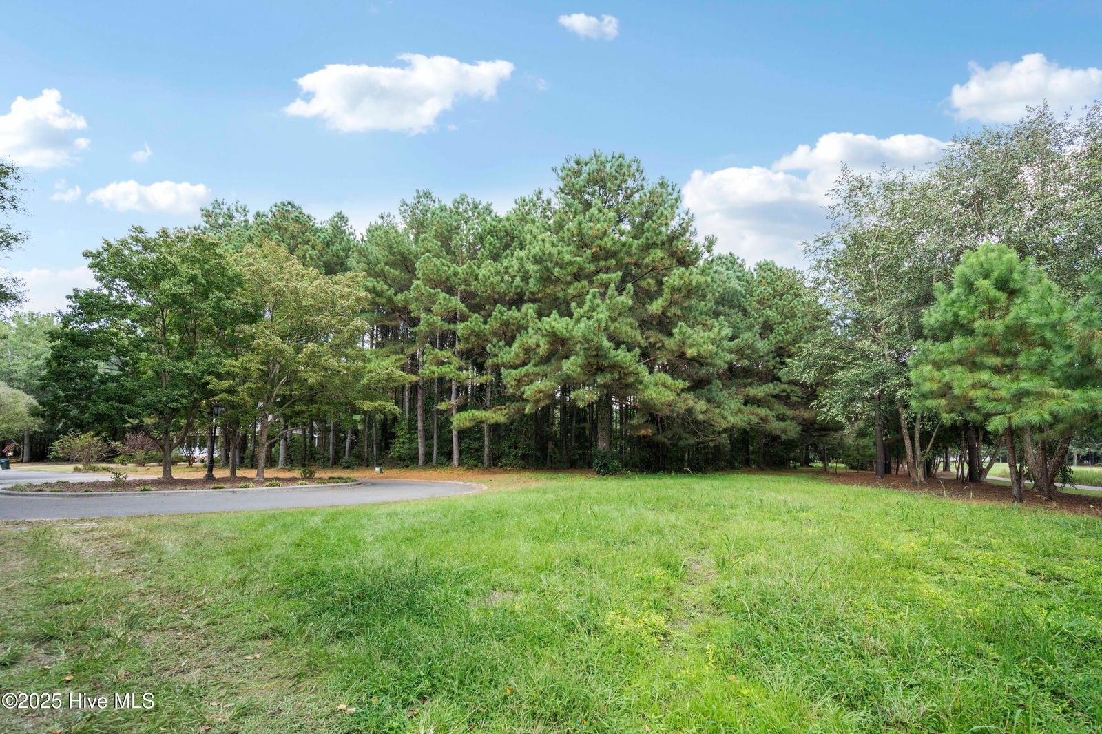 177 Red Fox Run Dr, Wallace, NC 28466. MLS 100533257