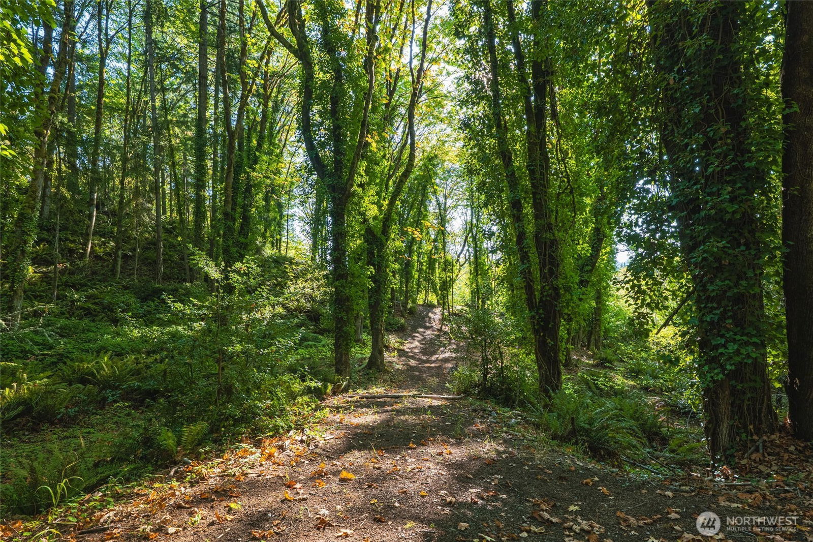 9011 Dana Drive NW, Gig Harbor | MLS# 2467571 | Skyline Properties, Inc ...