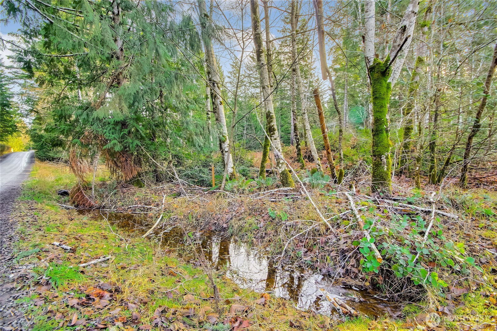 1 E Jared Road, Shelton, WA 98584 | MLS # 2468373 Harstine Island