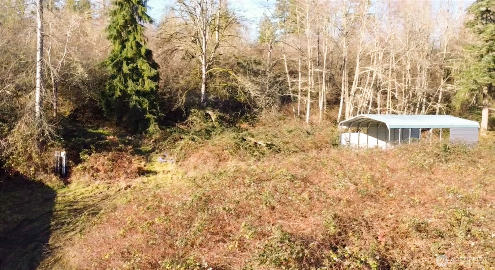 31822 Orville Road E, Graham | MLS# 2468007 | Skyline Properties, Inc ...