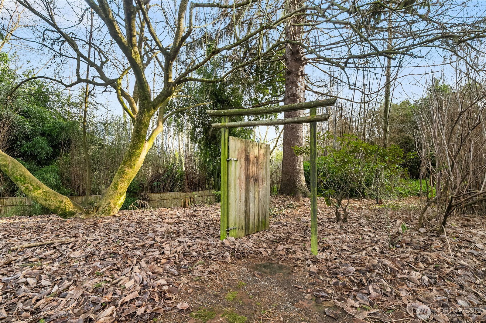 7406 Oat Coles Road, Everson, WA 98247 | MLS # 2464780 Everson