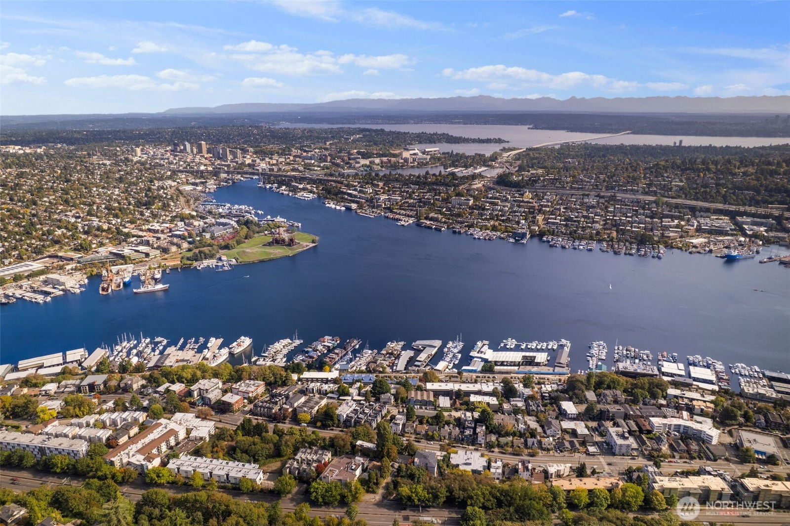 559 McGraw Street Unit #402, Seattle | MLS# 2466546 | Skyline ...